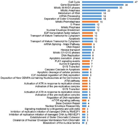 Selected Results Of Reactome Pathways Blue Bars And Pathway