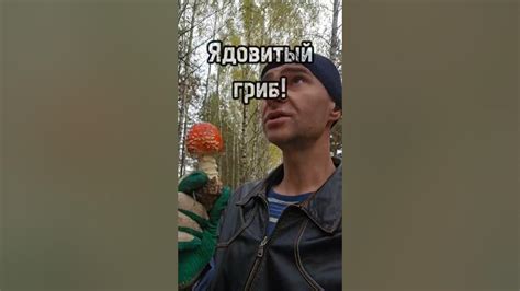 Ядовитый гриб Youtube