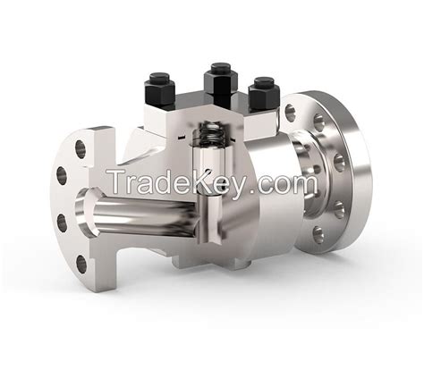 API 6A Check Valve Swing Check Valve By Dongying Lake Petroleum Technology CO Ltd