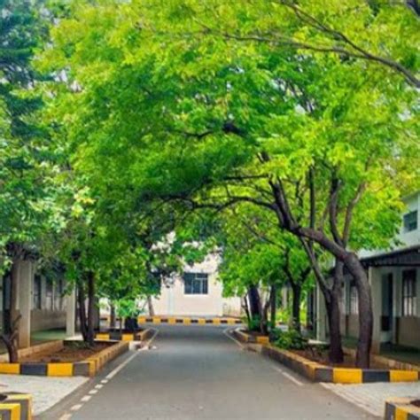 Gopika Senthilkumar On Linkedin Thanksfaceprepxlinkedin