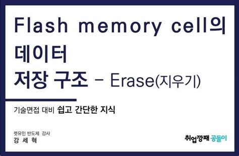 취업깡패 공돌이 💥 반도체 기술면접 대비 💥 Flash Memory Cell의 데이터 저장구조