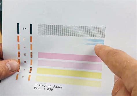 Nozzle Check PDF Color Test Page