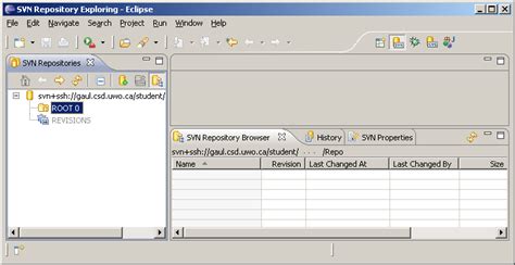 using subversion svn in eclipse