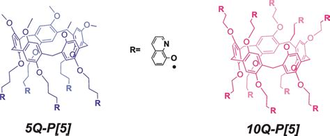 Structure Of Synthesized 5q P 5 And 10q P 5 Macrocycles Download