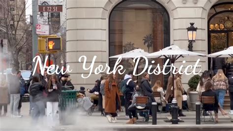 Ny Vlog 뉴욕에서 핫한 옥동식 아스티에 드 빌라트 존데리안 뉴욕 속 오스트리아 카페에서 브런치 해리 포터 덕후의 스토어 구경 Dmv 다녀온 뉴욕 일상 브이