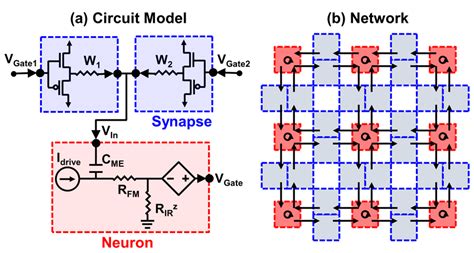 circuit and network diagrams a neuron and synapse circuit models
