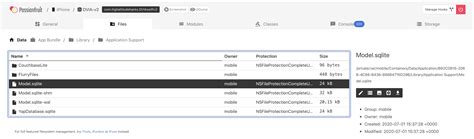 Insecure IOS Storage DVIAv Part Offensive Research