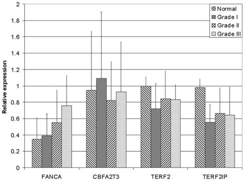 Quantitative Reverse Transcriptase Pcr Expression Analysis In Breast