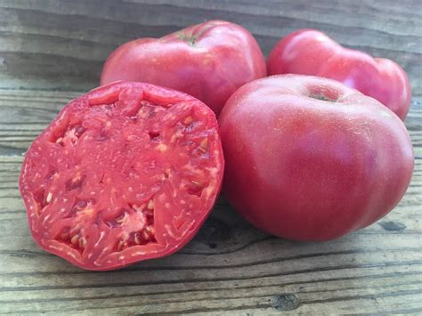 Mortgage Lifter Heirloom Tomato