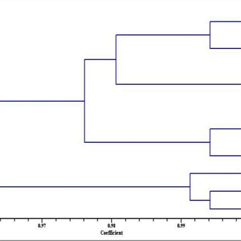 Dendrogram Showing Genomic Relationship Within Populations In C Download Scientific Diagram