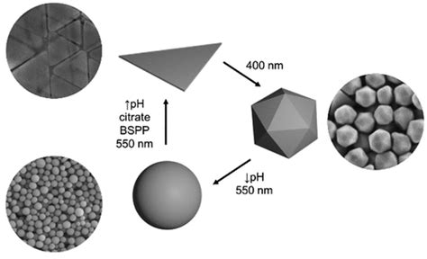 Plasmon Mediated Reconfiguration Of Twin Defect Structures In Silver