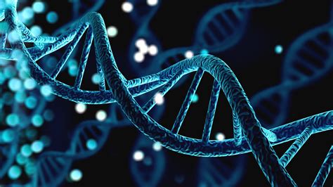Next Generation Sequencing Ngs Labmicta