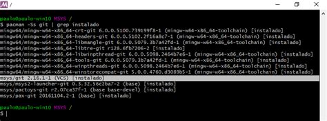 Git There Are No Active Source Control Providers After Update · Issue 50138 · Microsoftvscode