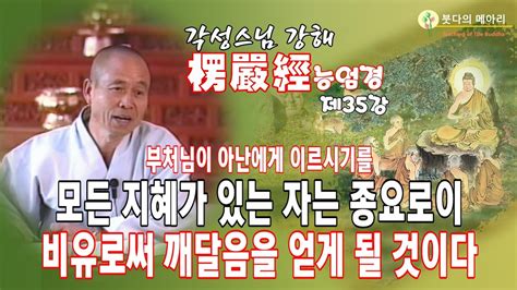 각성스님 강해 능엄경 제35강 모든 지혜가 있는 자는 종요로이 비유로써 깨달음을 얻게 될 것이다 Youtube
