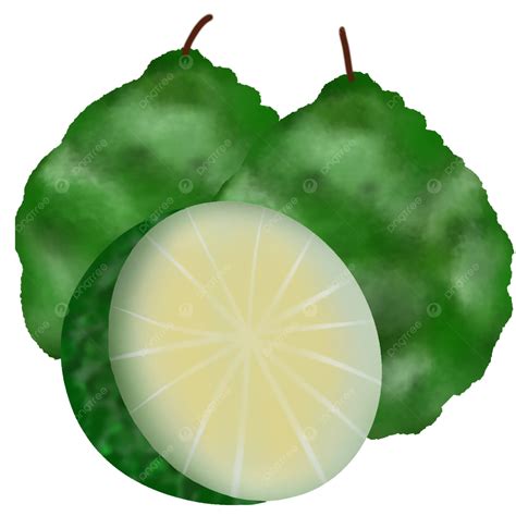 라임 시큼한 과일 요리하다 Png 일러스트 및 Psd 이미지 무료 다운로드 Pngtree