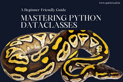 Mastering Python Dataclasses A Beginner Friendly Guide To Cleaner More Efficient Code