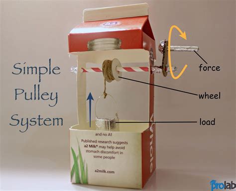 A Simple Pulley System Artofit