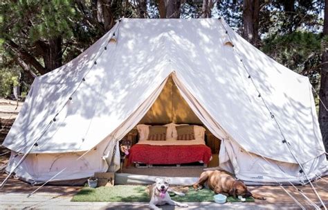 WA Adult Only Accommodation Options