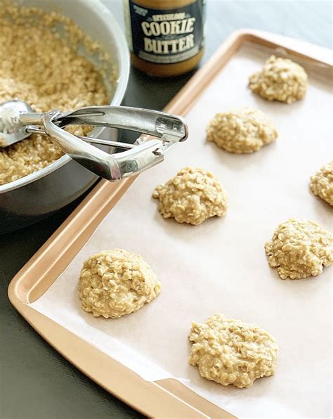 Trader Joe S Cookie Butter No Bake Cookies