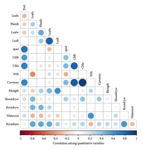 Correlations Among Physiological Root System Architecture And Download Scientific Diagram
