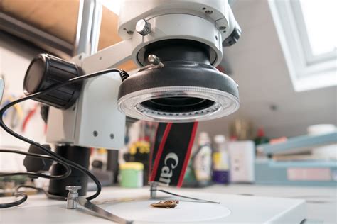 New Brunel Bmsz Trinocular Stereomicroscope For The Workshop