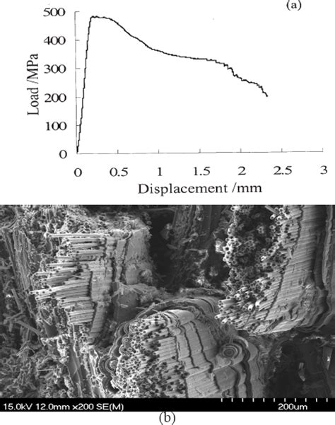 The Load Displacement Curve And Fracture Morphology Of The Modified Download Scientific Diagram