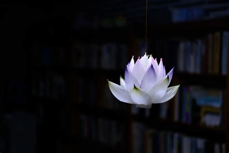 나를 되돌아 볼 수 있던 순간 템플스테이 갤러리