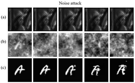 The Robustness Against Multiplicative Noise Attack A Interferograms