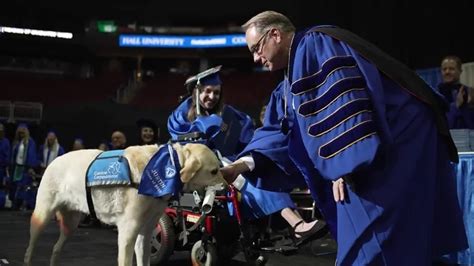 El Mejor Alumno Un Perro Guía Recibió Un Diploma De Graduación Y Fue Ovacionado Por Todos Los
