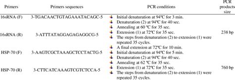 The Primers Sequences Pcr Conditions Length Of Pcr Products 9