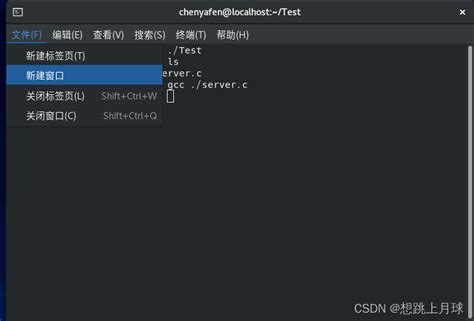 C语言实现udp数据传输（centos测试）c语言 Udp发送数据 Csdn博客
