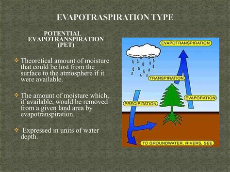 Evaporation Transpiration And Evapotranspiration Ppt
