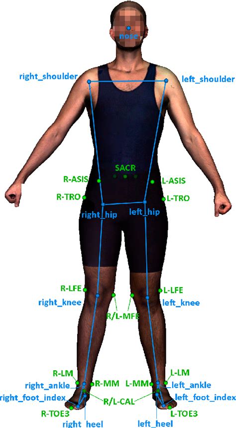 figure 2 from a deep learning model for markerless pose estimation based on keypoint