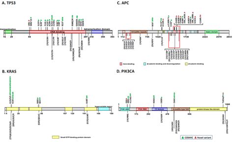 Spatial Distribution Of Somatic Variants On The Protein Function Download Scientific Diagram