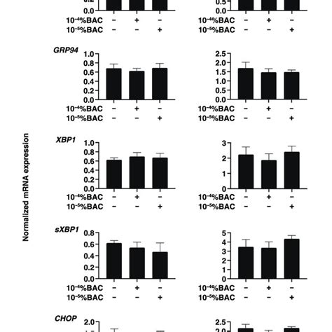 Effects Of Atra Toward The Gene Expression Of Ecms Of The Tgf β2