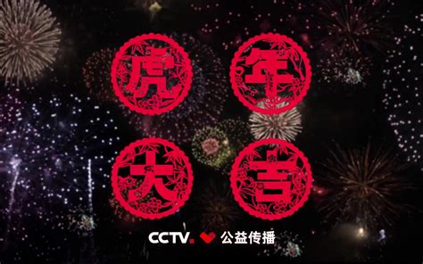 2022央视春晚公益广告：虎年大吉哔哩哔哩bilibili