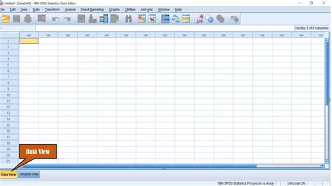 Ibm Spss Statistics Interface Navigation Pdf