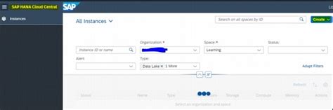 Creating Sap Hana Cloud Instance