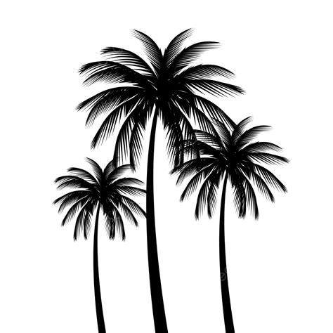 Small Palm Tree Silhouette PNG Transparent Detailed Palm Tree Vector Silhouette Palm Tree