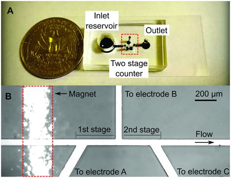 A Picture Of The Single Cell Detection Device B Microscopic Image