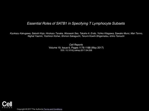 Essential Roles Of Satb1 In Specifying T Lymphocyte Subsets Ppt Download