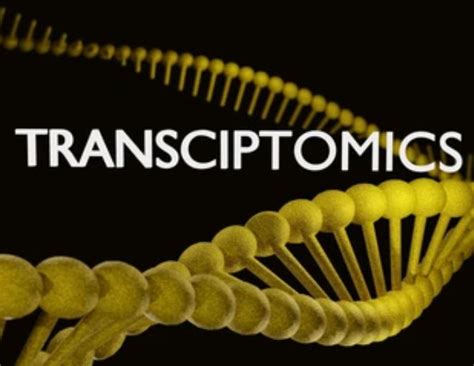 Cd Genomics On Linkedin Transcriptomics Longreadsequencing