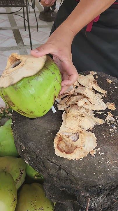 코코넛 세개 반 가르기 코코넛 야자열매 여행 필리핀 팍상한 힐링 Travel Coconut Healing Philippines Korea Shorts