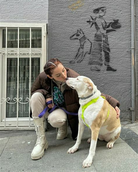 آدمی عکس ویسگون