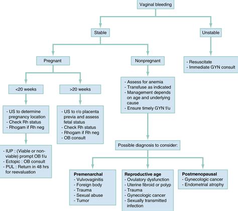 Vaginal Bleeding Clinical Tree