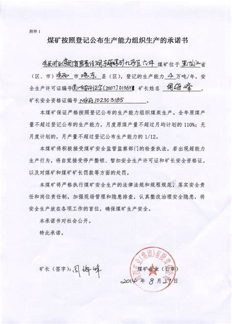 鸡西矿业集团有限责任公司东海煤矿九采区六井生产承诺书