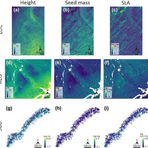 Spatial Predictions Of The Cwm Traits At Three Geographical Scales Download Scientific Diagram