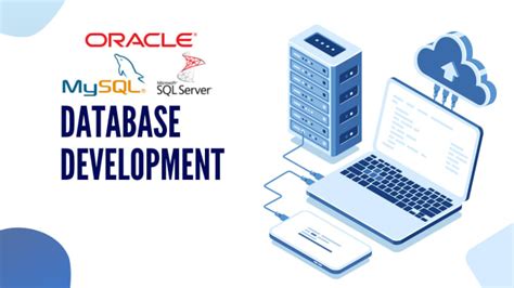write plsql oracle queries for your school or professionnel works by mohamedarbani fiverr