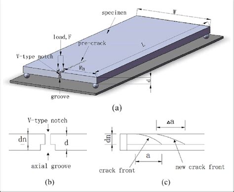 A Specimen Shape B Cross Section In Width And C Cross Section Download Scientific