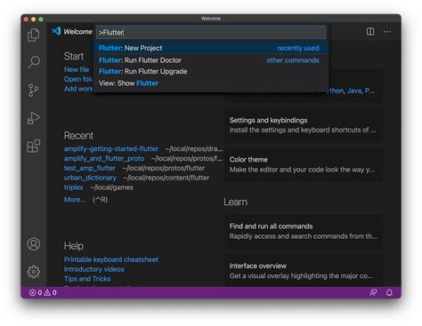 Flutter Amplify 와 Flutter 연동하기 2 Amplify 서비스 초기화 Origogi